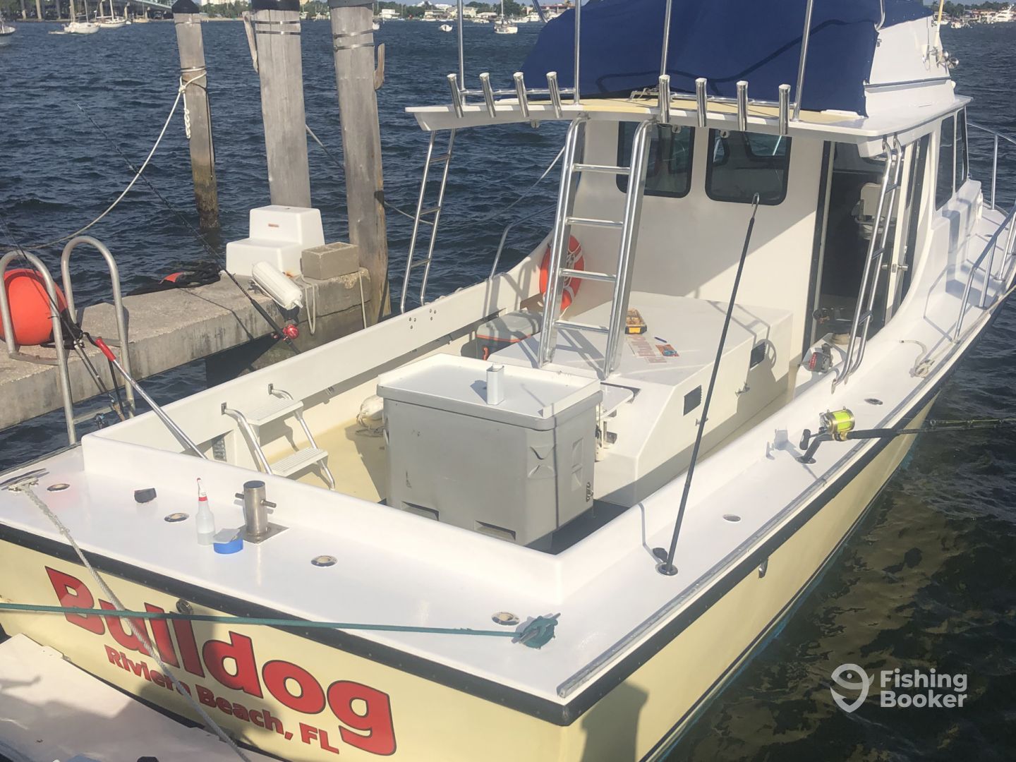 Bulldog Fishing Charters - Updated 2026 Prices