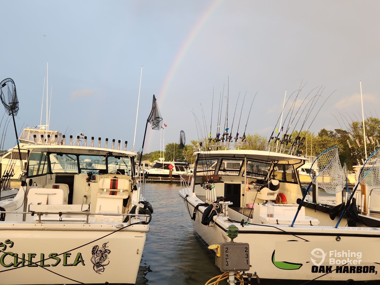 Chelsea Charters - Updated 2026 Prices