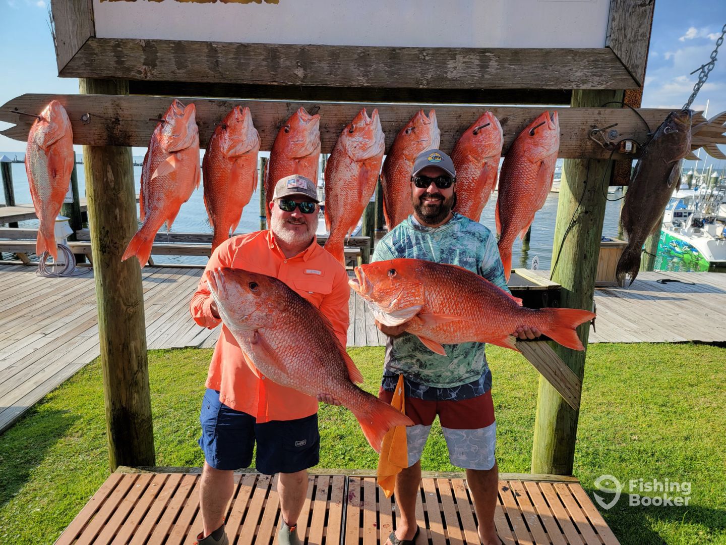 Msc Fishing Charters - Updated 2026 Prices