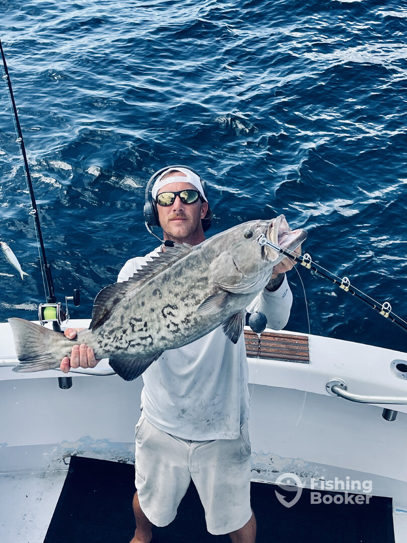 Charter Boat Snapper Trapper - Updated 2026 Prices