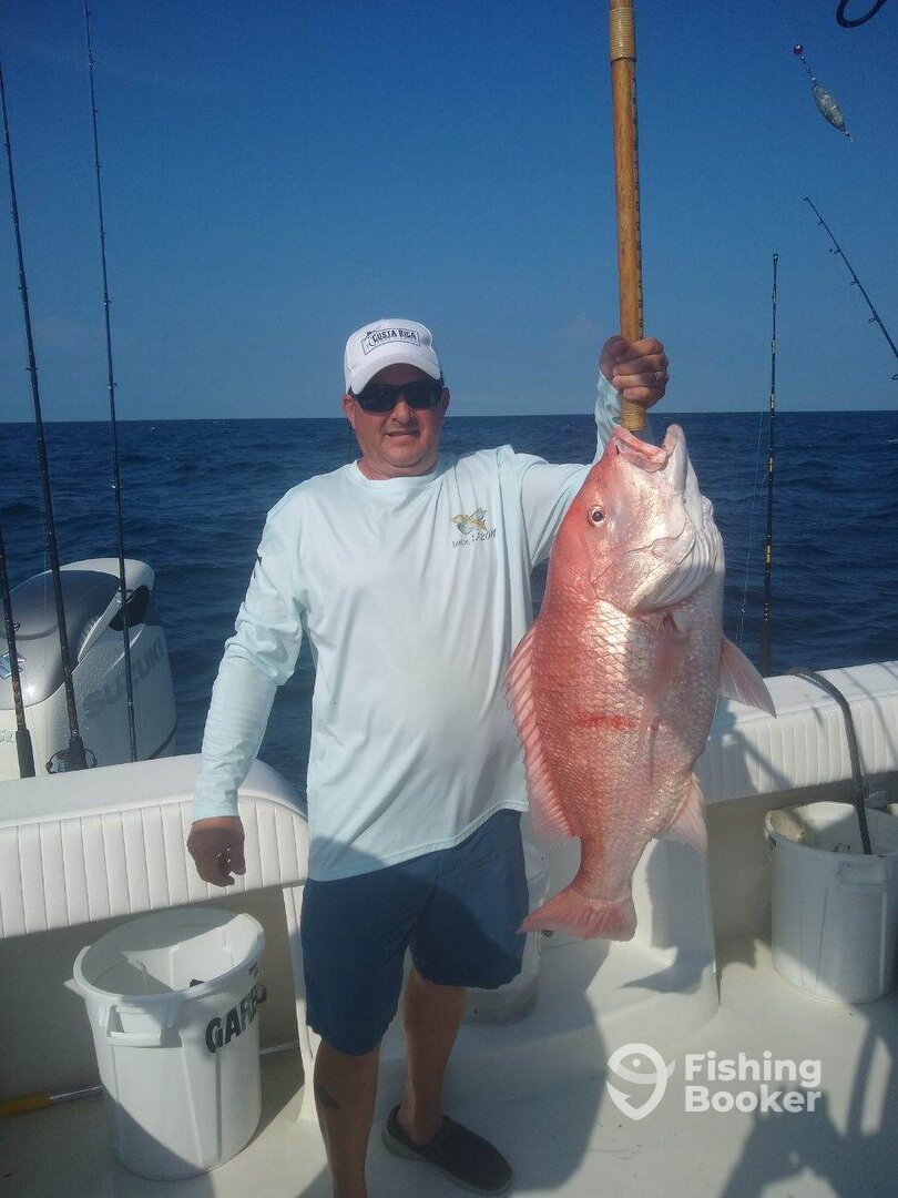 Charter Boat Snapper Trapper - Updated 2026 Prices